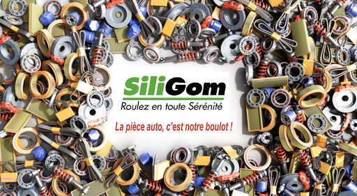 Garage automobile SILIGOM - CENTRAL PNEUS Fains-Véel 55000 : Devis et ...